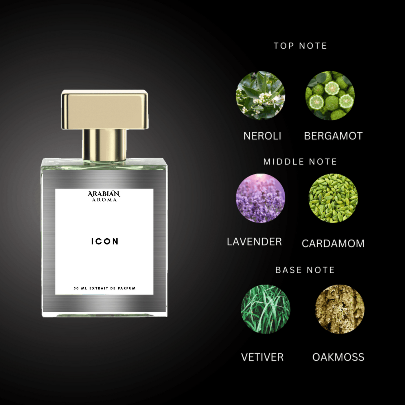 Aromatic Perfumes for Men & Women – Bold Scents | Arabian Aroma